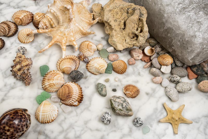 Star, Stones and Shells Lying on a Marble Background, Composition of ...