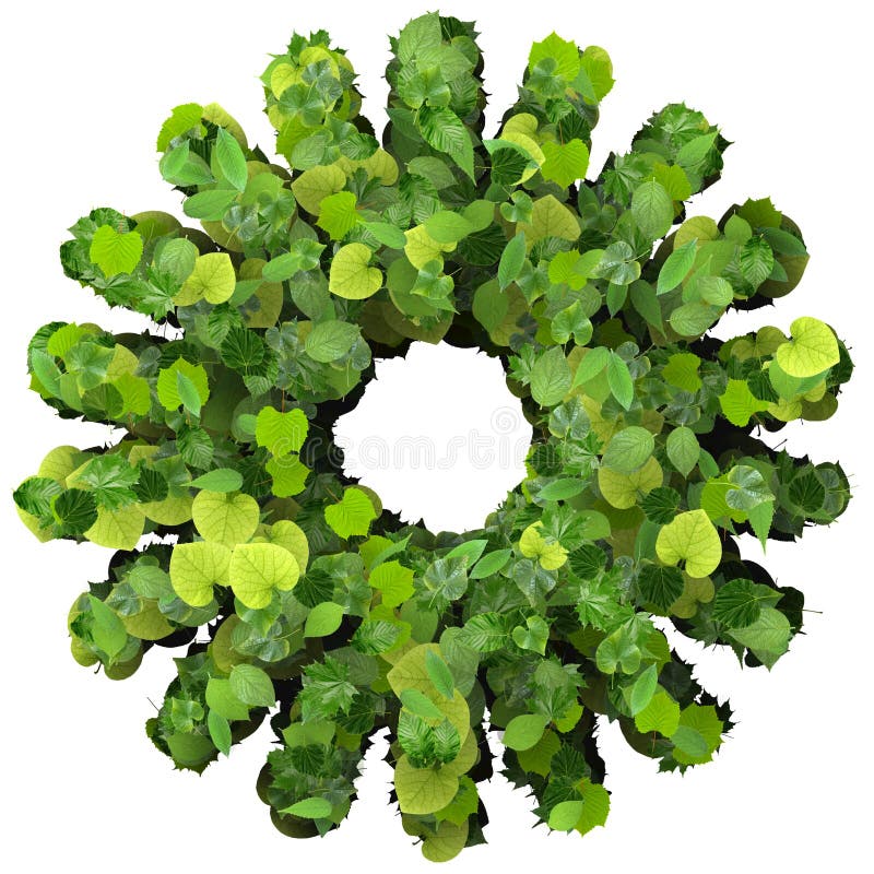 Star / Sun Made from Green Leaves Isolated on White Background. 3D ...