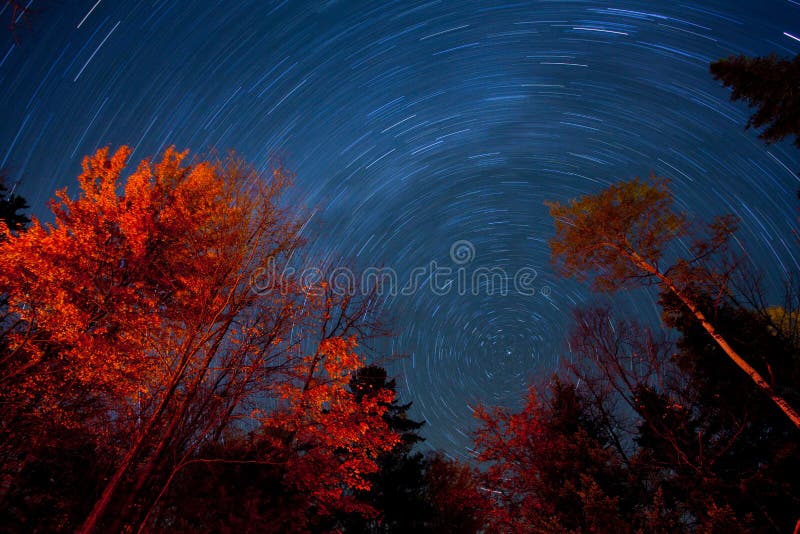 Star track stock photo. Image of astronomy, track, motion - 16493120
