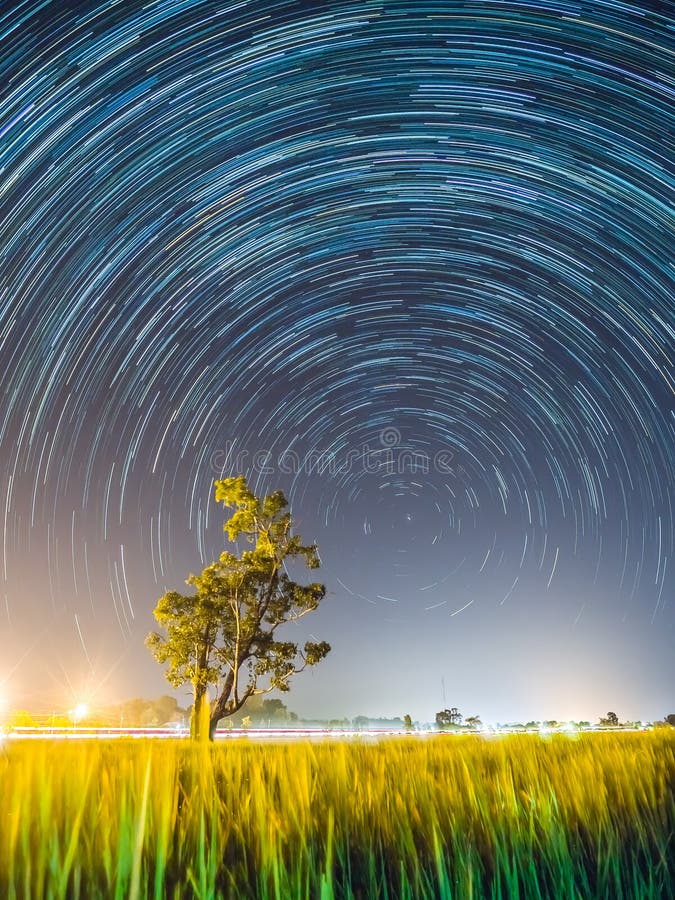 Star trail at the field stock photo. Image of space - 130723892