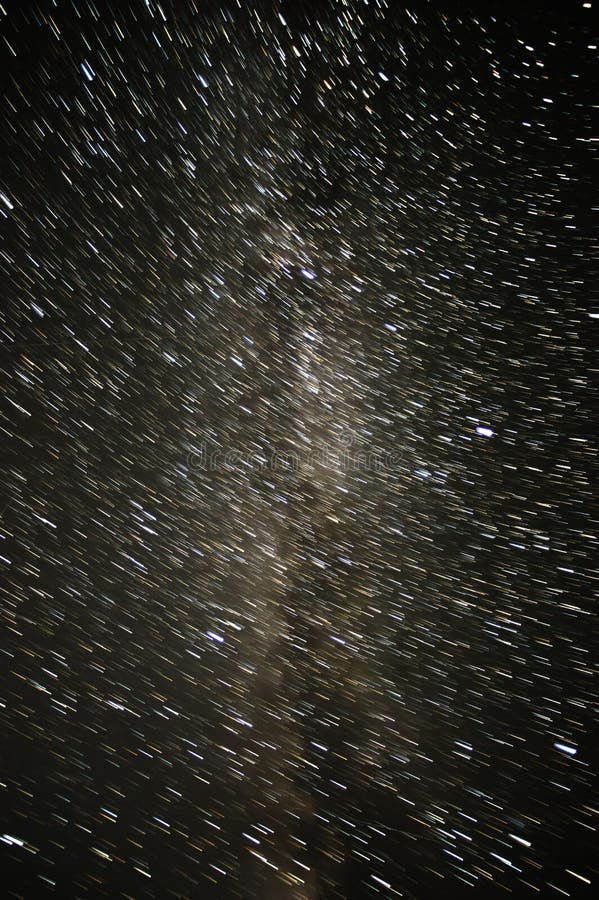 Star Trails in the Night Sky in the Forest Stock Image - Image of grass ...