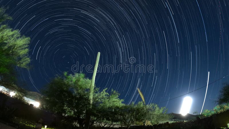 Star Trails in Night Sky with Saguaro Cacti - Time Exposure Stock Image ...