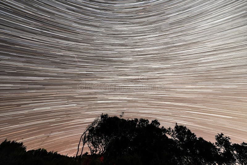 Star Trails over Trees stock image. Image of starry - 371575837