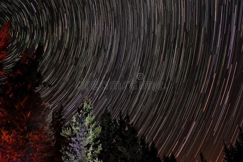 Star Trails with Trees in ForegroundStar Trails with Trees in ...