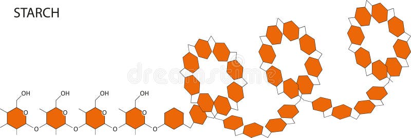 Starch Molecule 3d