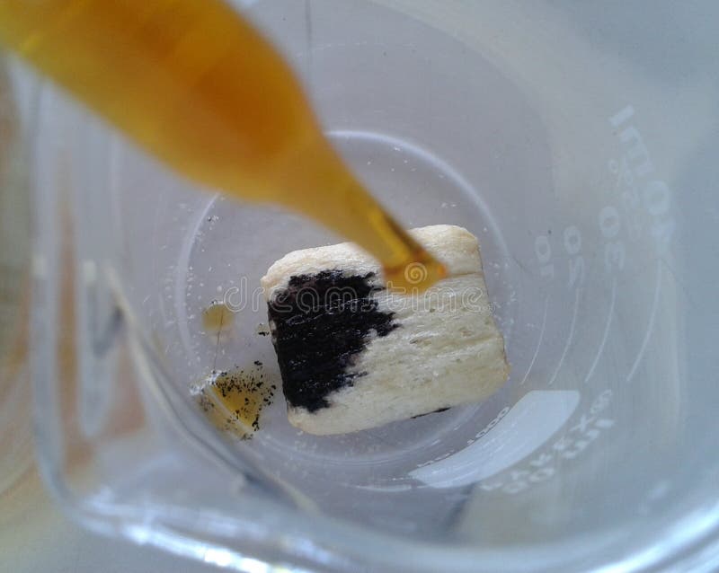 Starch test stock photo. Image of test, experiment, science - 68769056