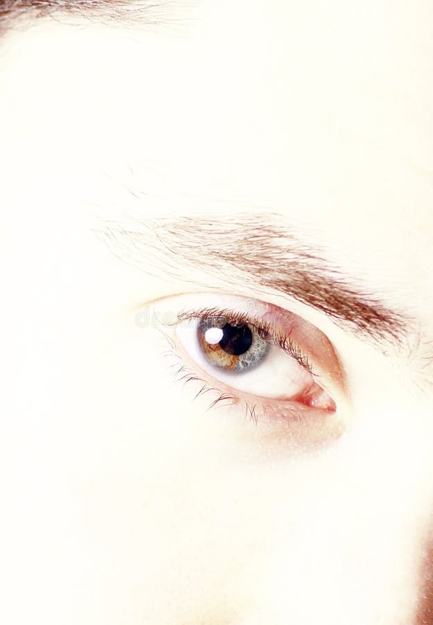 The stare stock photo. Image of stare, gaze, brow, pupil - 506872