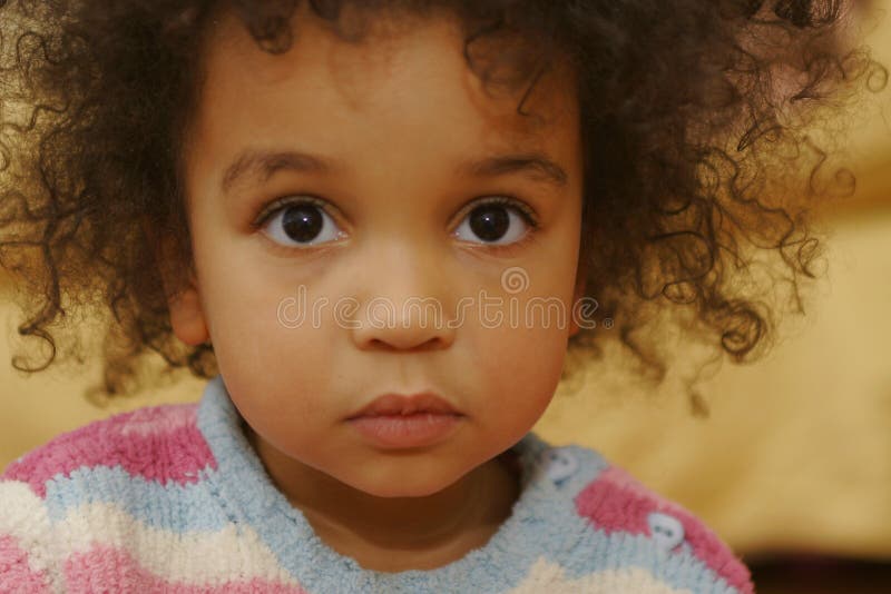 That Stare stock image. Image of pretty, little, fuzzy - 627097