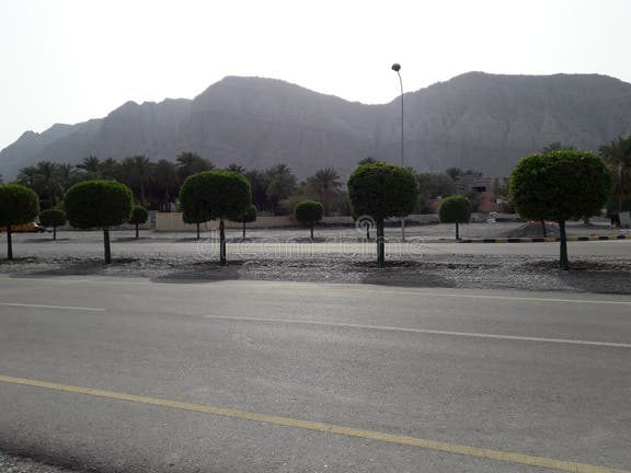 441 Pics Dream Stock Photos - Free & Royalty-Free Stock Photos from ...