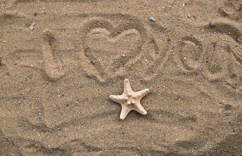Starfish stock image. Image of mollusc, beach, heart - 14616399
