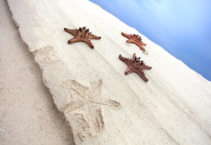 Starfish and Footprint in Sand Stock Photo - Image of start, seastar ...