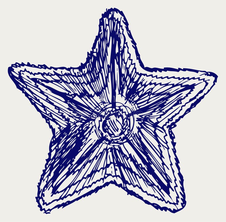 Rough Starfish Stock Illustrations – 740 Rough Starfish Stock ...