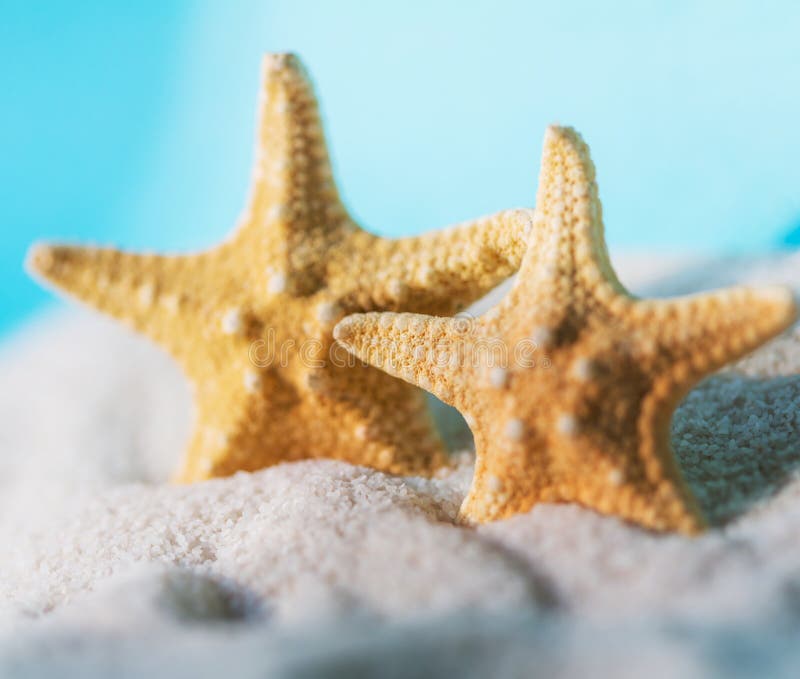 Starfish stock image. Image of space, fish, sand, beach - 54190859