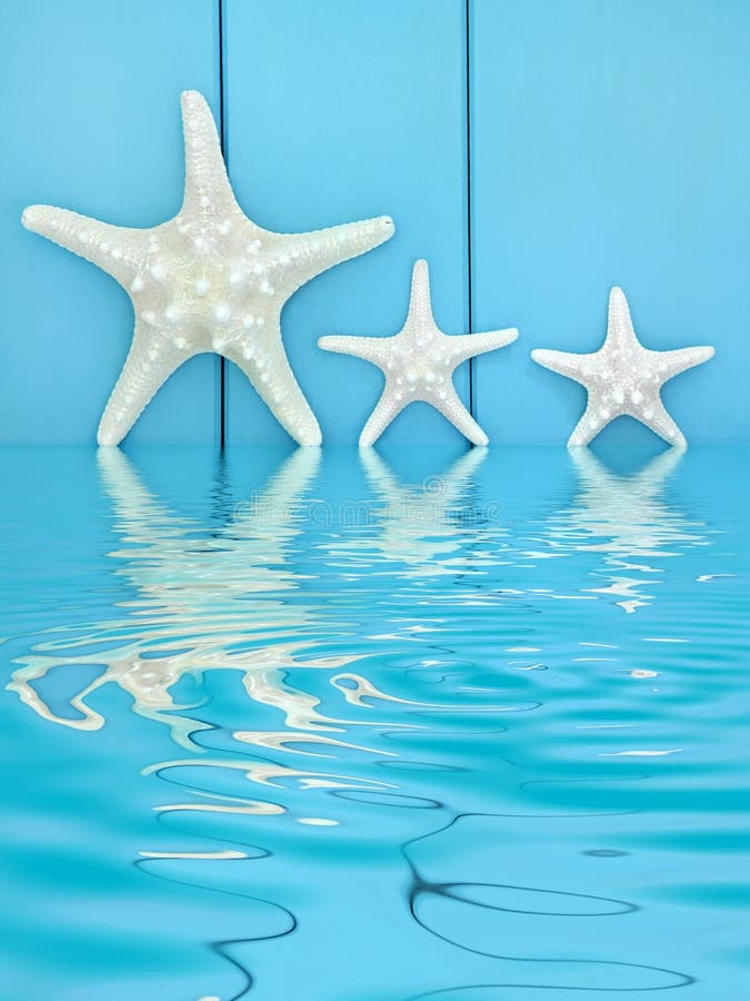 Starfish Abstract stock photo. Image of design, reflection - 45578572