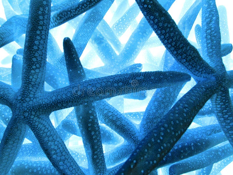 Starfish background stock photo. Image of lots, blue - 71053144