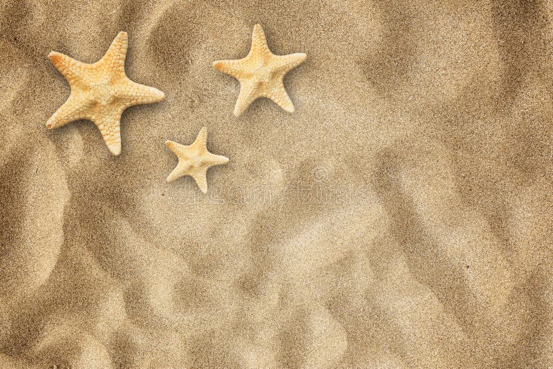 Starfish stock photo. Image of texture, nature, starfish - 174955678