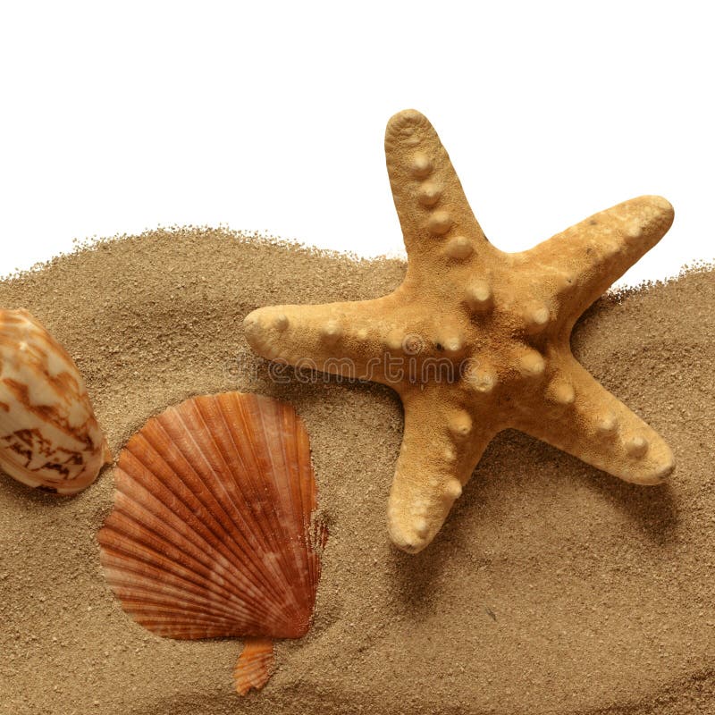 Starfish on Beach Sand stock image. Image of star, blue - 66875935