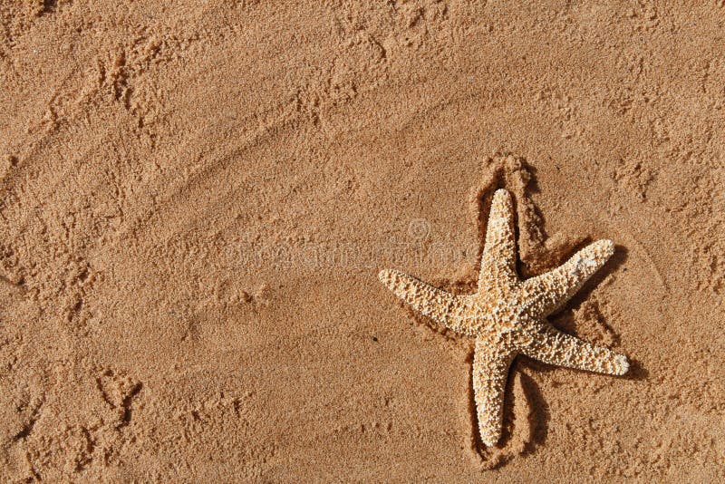 Starfish On A Beach Sand Perfect For Background Picture. Image: 6289578