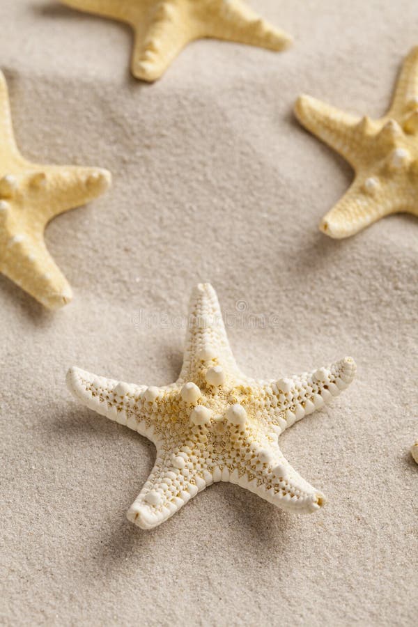 Starfish on beach sand stock photo. Image of riverside - 92108682