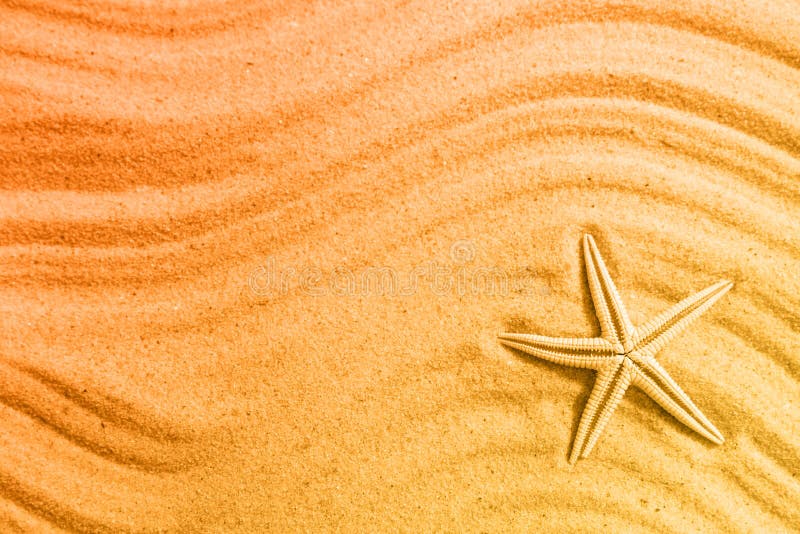 Starfish on Beach Sand with Wave Pattern. Space for Text Stock Image ...