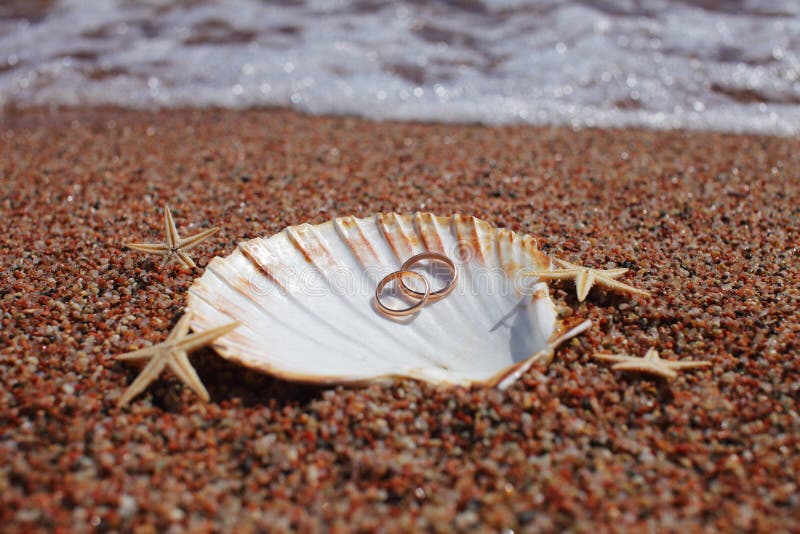 Starfish on the beach stock photo. Image of life, nature - 53389436
