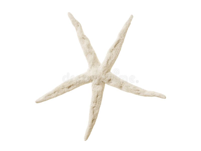 Starfish beige stock image. Image of white, starfish - 37932653