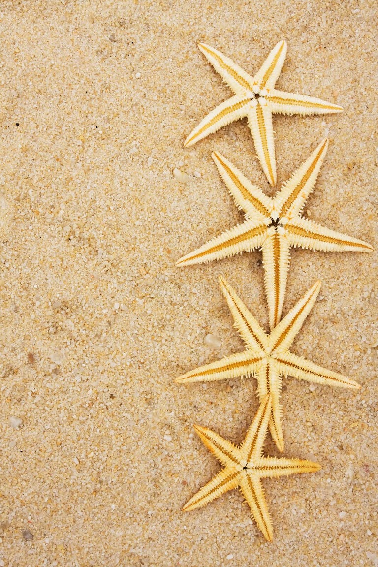 12,669 Starfish Border Stock Photos - Free & Royalty-Free Stock Photos ...