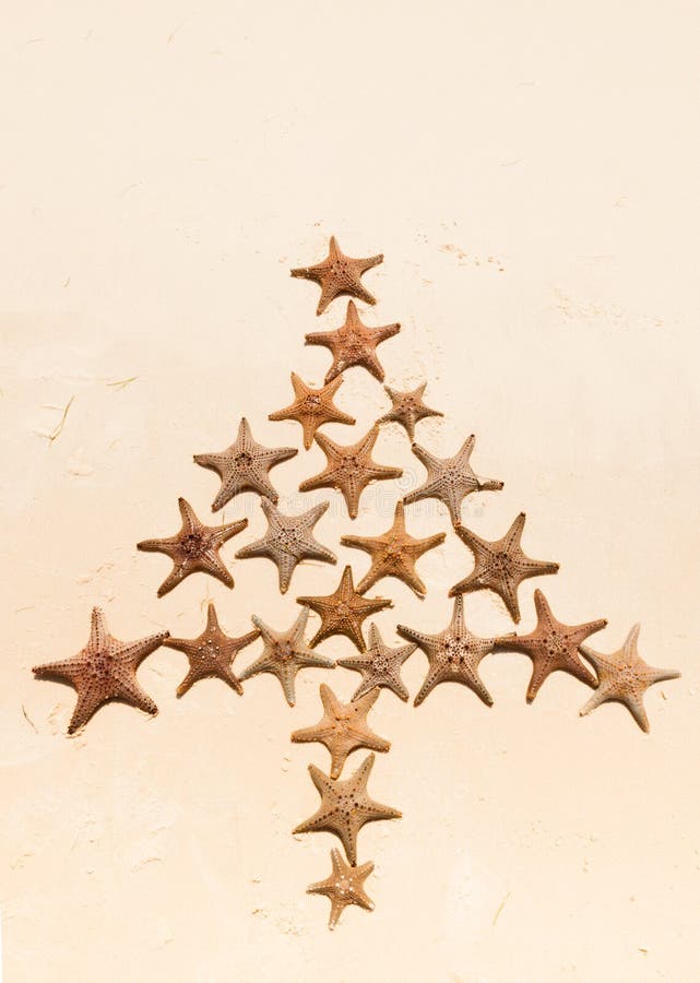 Starfish christmas tree stock photo. Image of beautiful - 49683184
