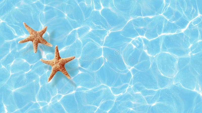 Starfish Duo in Clear Ocean Water. Neural Network AI Generated Stock Photo - Image of harmony ...
