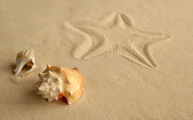 Starfish Footprint Over Caribbean Sand Stock Image - Image of beautiful ...