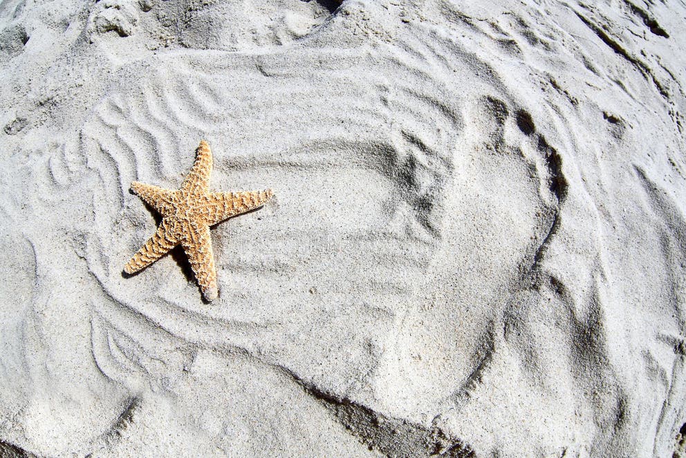 Starfish and Footprint in Sand Stock Photo - Image of start, seastar ...