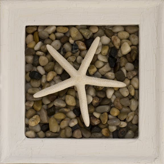 Starfish frame stock photo. Image of life, marine, maritime - 15110044
