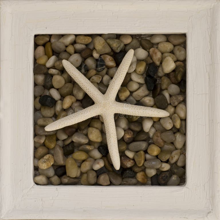 Starfish frame stock photo. Image of life, marine, maritime - 15110044