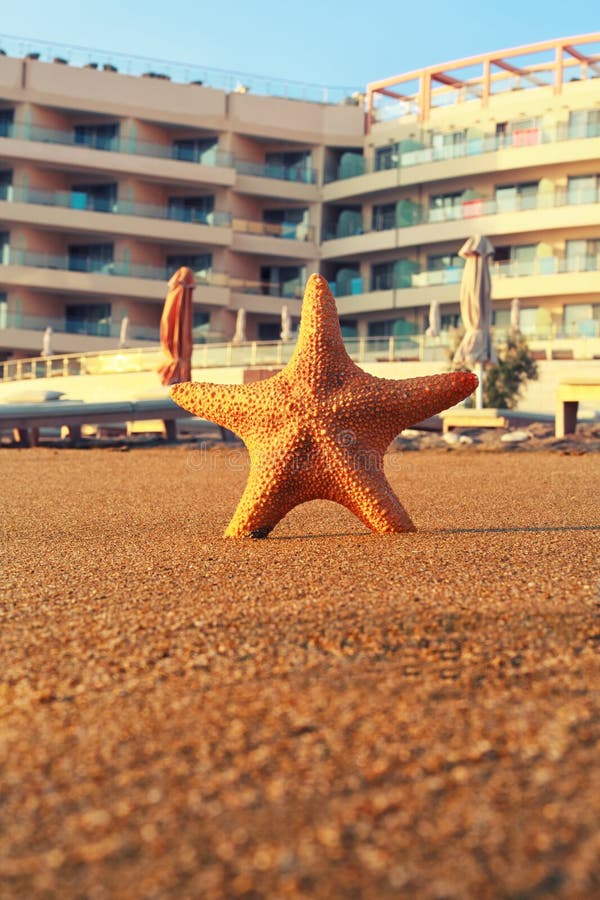 Starfish in Front of a Luxury Hotel Stock Image - Image of hotel, brown ...