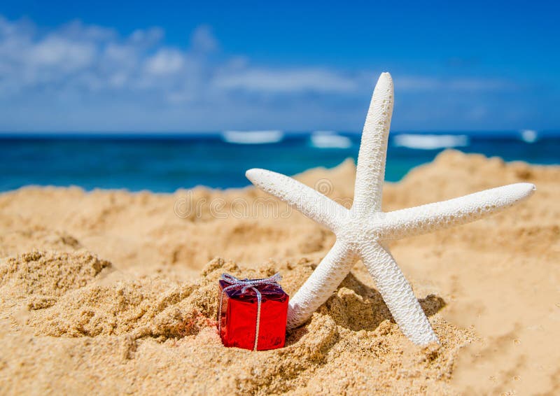 Starfish with Gift Box on the Sandy Beach Stock Image - Image of season ...