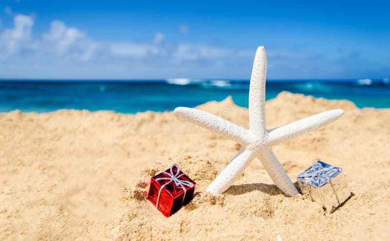 Starfish with Gift Boxes on the Sandy Beach Stock Image - Image of ...