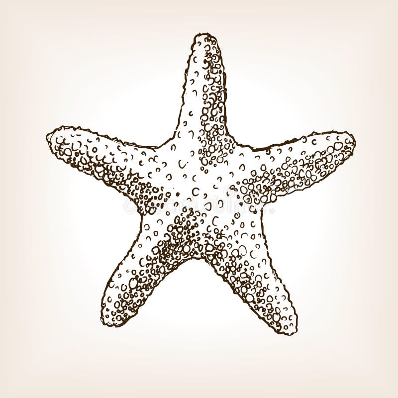 Starfish Hand Drawn Seamless Pattern Vector Stock Vector - Illustration ...