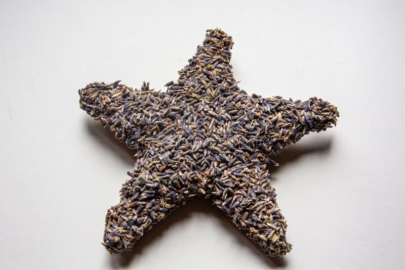 Starfish from herbs stock photo. Image of smell, pressed - 191655006