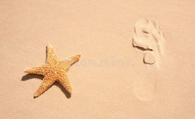 Starfish with Human Footprint Stock Photo - Image of summer, travel ...