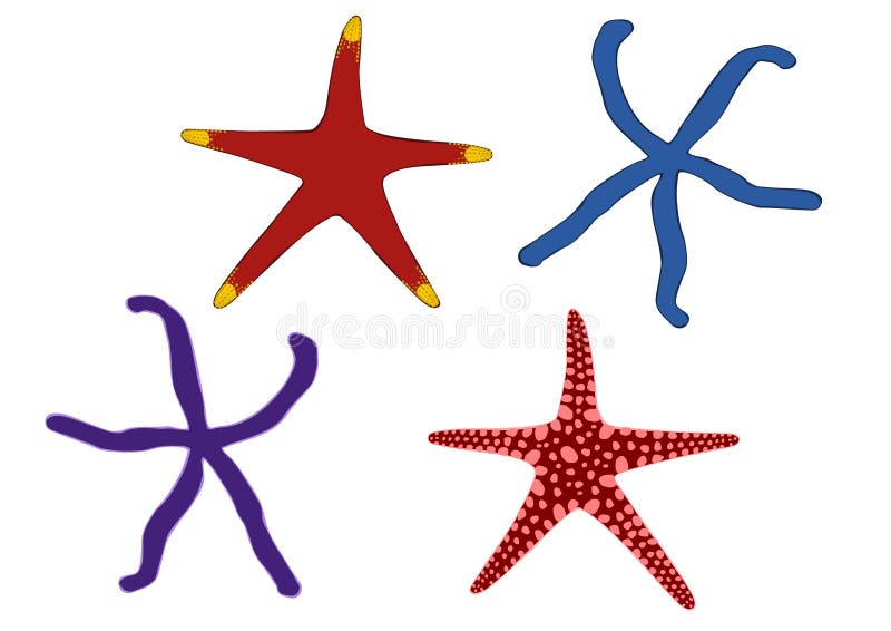 Starfish illustrations stock vector. Illustration of marble - 96305186