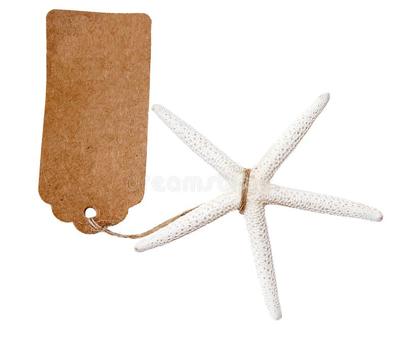 Starfish Isolated with Tag Label Stock Image - Image of white, view ...