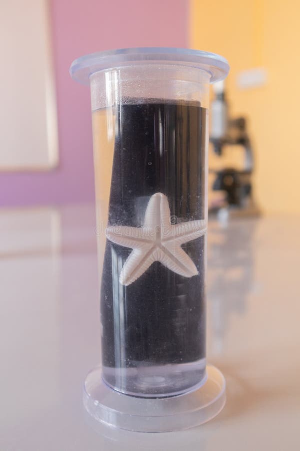 Starfish in Lab Glassware of Conducting Experiments Stock Photo - Image ...