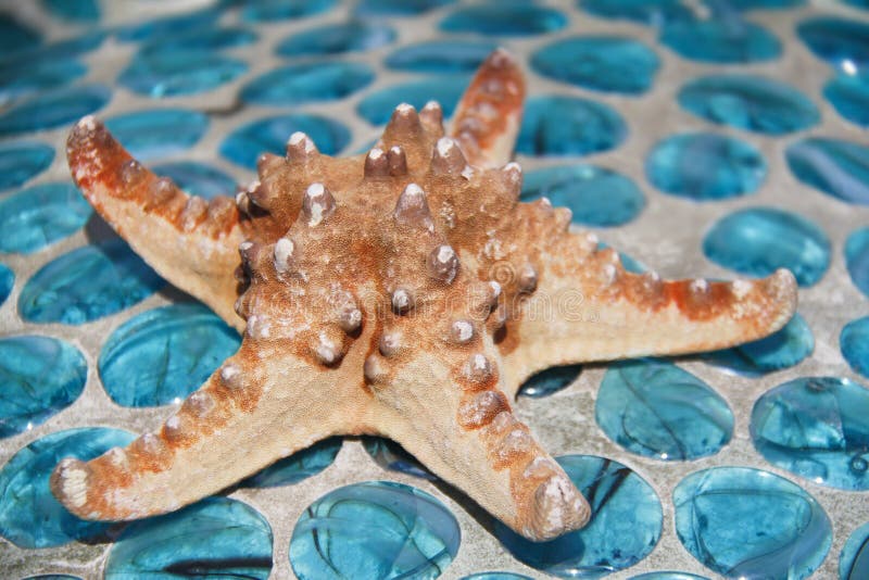 Starfish stock image. Image of pool, glass, blue, balls - 155307349