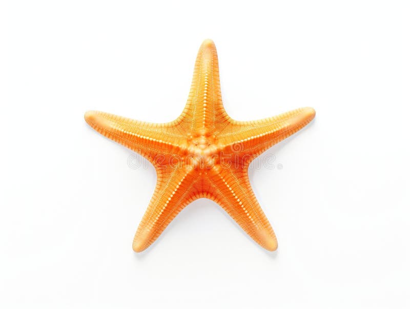 Ai Generated Illustration Wildlife Concept of Starfish Stock ...