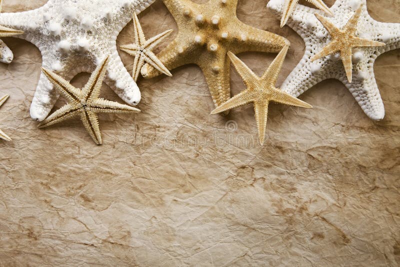 Starfish on Old Paper stock image. Image of horizontal - 11776505