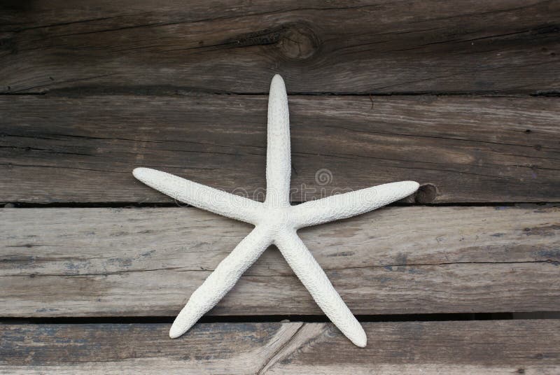 Starfish on an Old Wooden Bench. Stock Image - Image of starfish ...