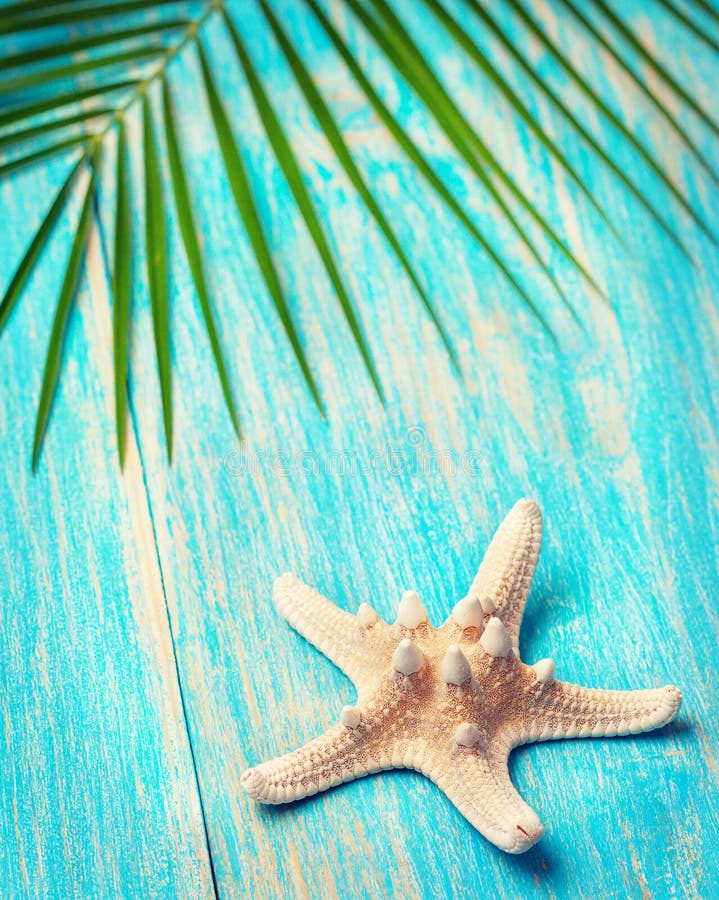 Starfish, Palm Tree Branch (toning) Stock Photo - Image of summer, rope ...