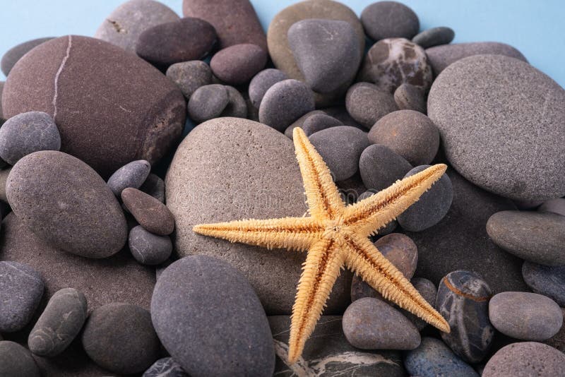 Starfish on Pebbles Summer Texture Close Up Blue Background Stock Photo ...