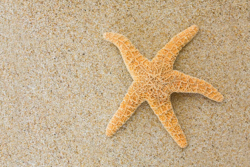 Starfish On Sand Royalty Free Stock Image - Image: 14472636
