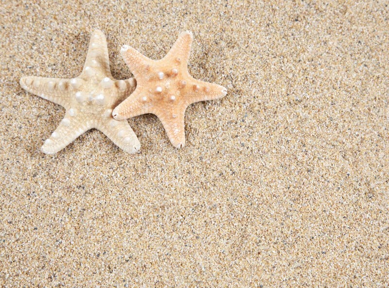 Starfish and sand stock photo. Image of stars, space - 18581742